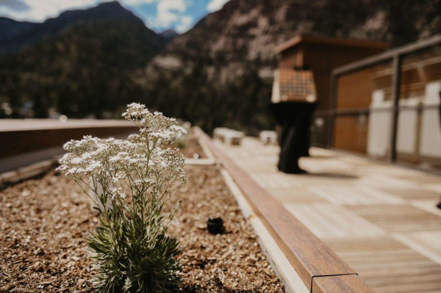 About CSB | Citizens State Bank | Colorado