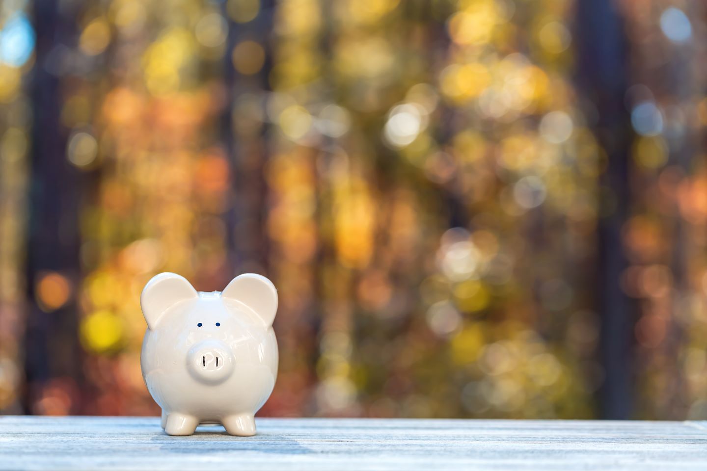 End of Year Financial Planning For Fall | Citizens State Bank CO